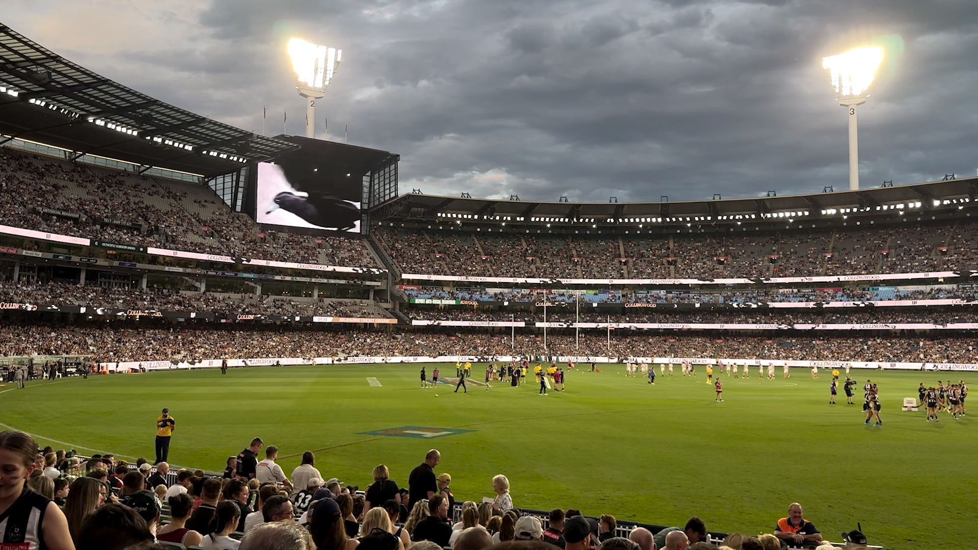 Collingwood Football Club - Team Entry - KOJO